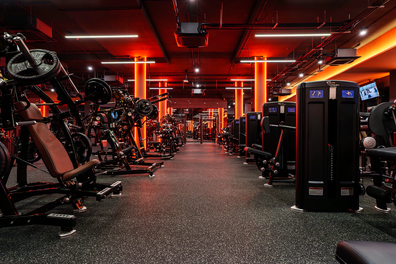 LUDUS Sports Complex and Training Camp Chalong | Martial Arts, Group ...